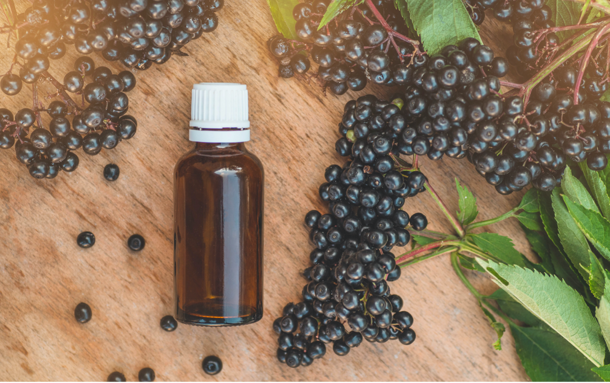 Benefits of Elderberry for Adults | RD Naturals | Elderberry Syrup – Elderlane®